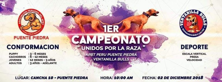 1er Campeonato "Unidos por la raza" - XXXVIII Campeonato Apbt Peru ...