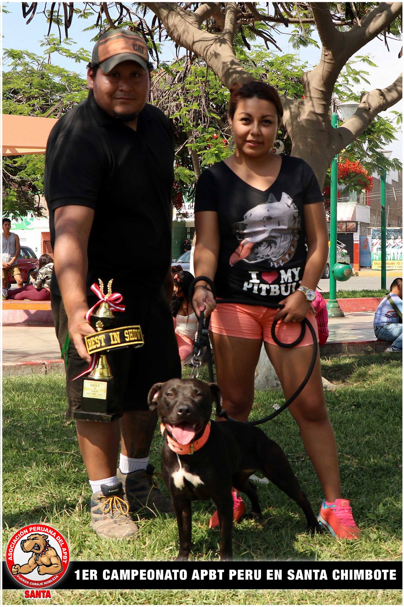 1er Campeonato Pit Sport Apbt Peru - Santa - APBT Peru, apbtperu.com ...