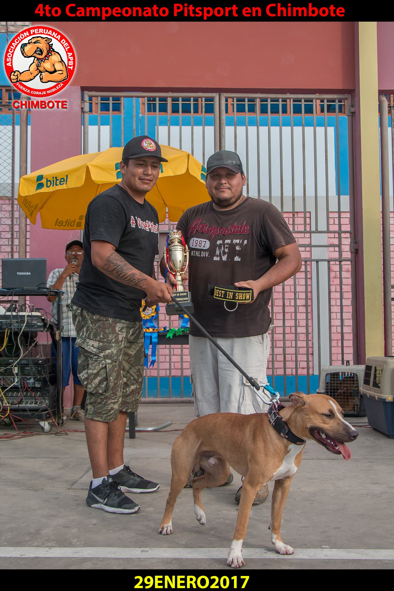 4to Campeonato Pitsport en Chimbote - APBT Peru, apbtperu.com ...