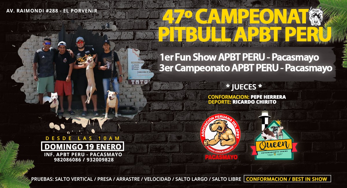 1er FUN SHOW APBT Nacional - Pacasmayo - APBT Peru, apbtperu.com ...
