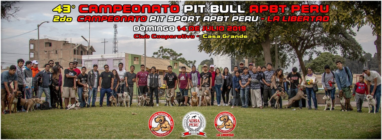 2do Campeonato Pit Bull - Apbt Peru La Libertad - APBT Peru, apbtperu ...