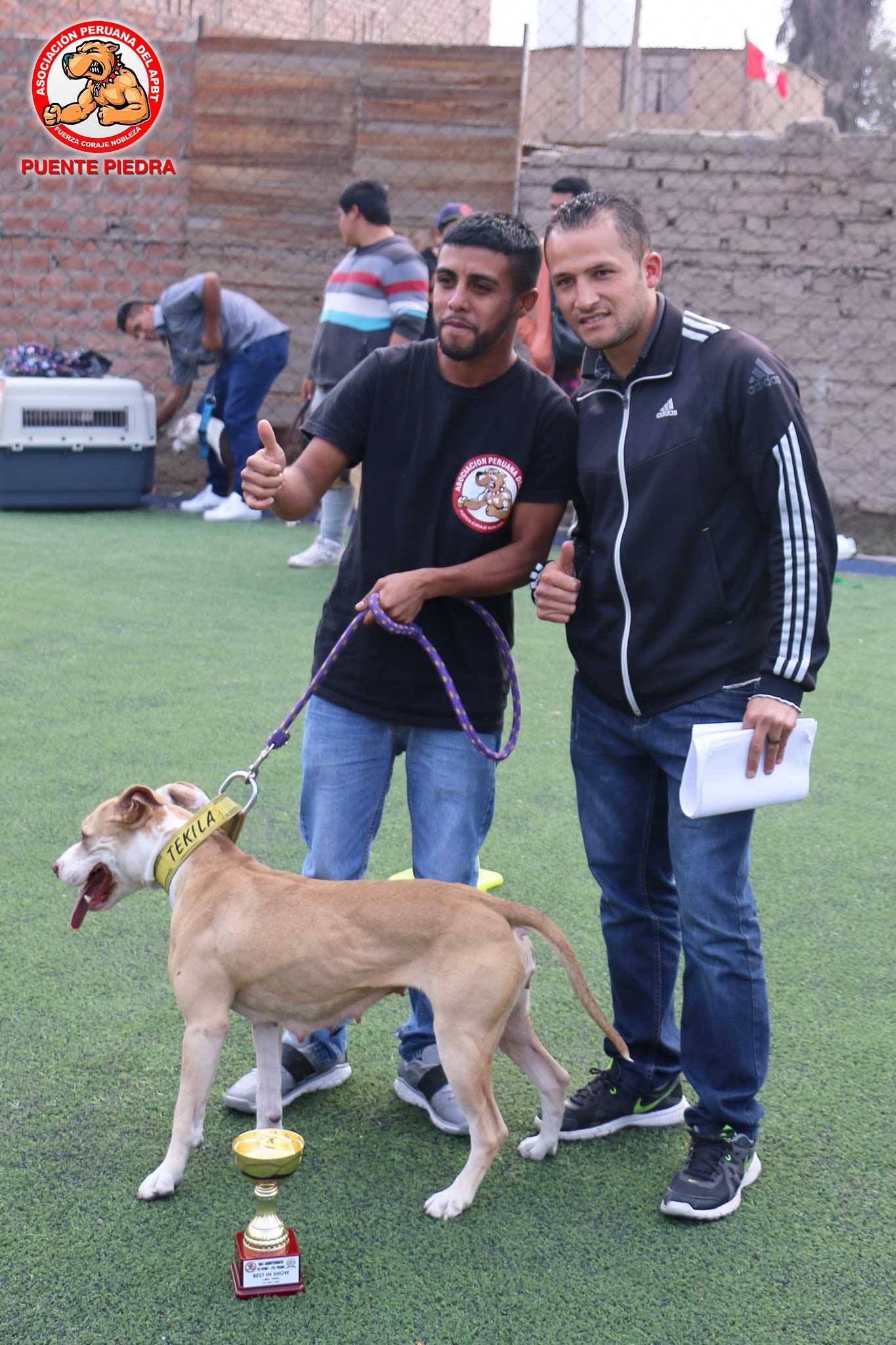 3er Campeonato Pit Sport en Puente Piedra - APBT Peru, apbtperu.com ...