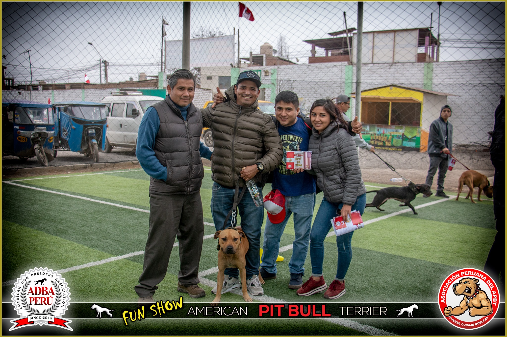 Fun Show del American Pit Bull Terrier - APBT Peru, apbtperu.com ...
