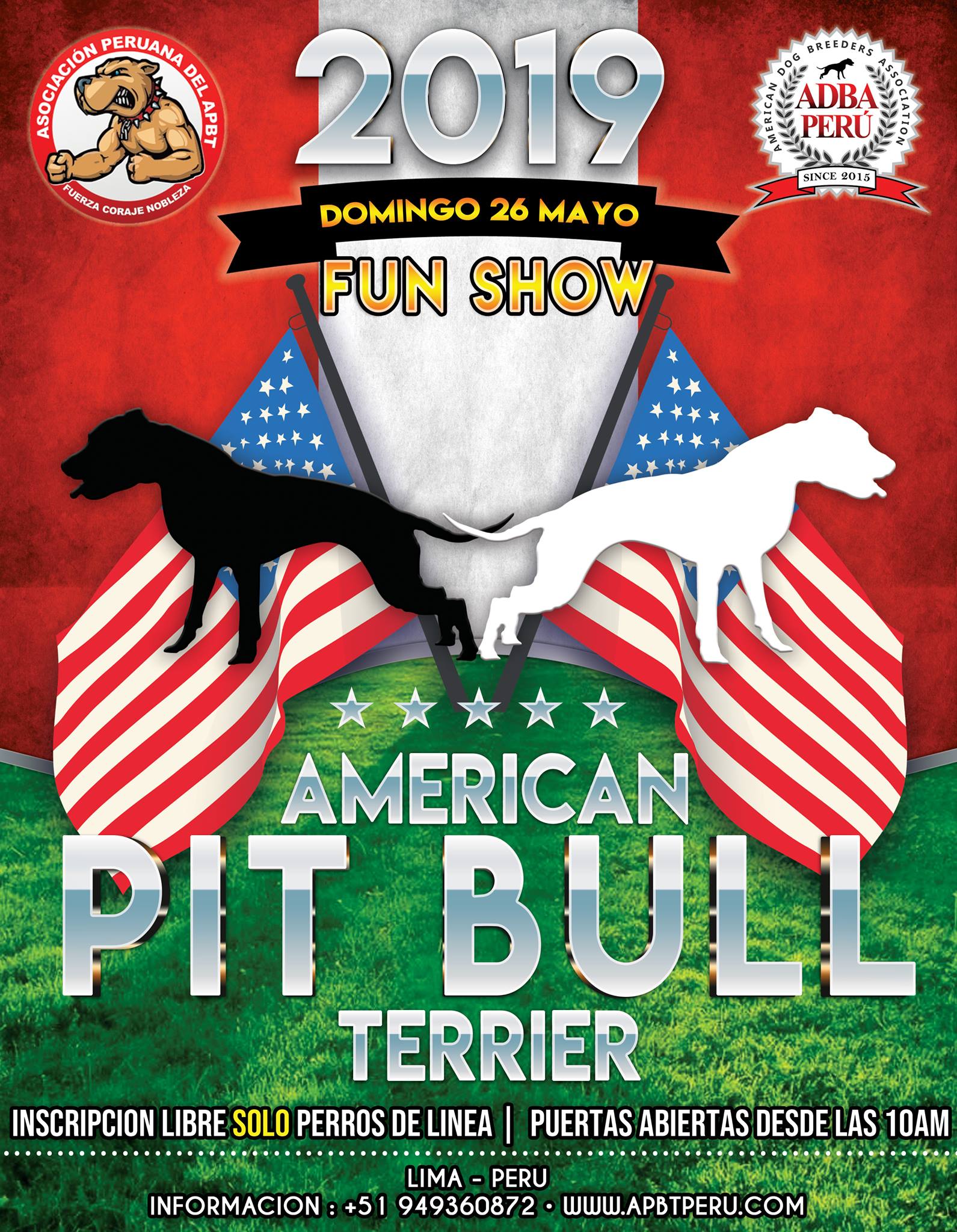 Fun Show del American Pit Bull Terrier - APBT Peru, apbtperu.com ...
