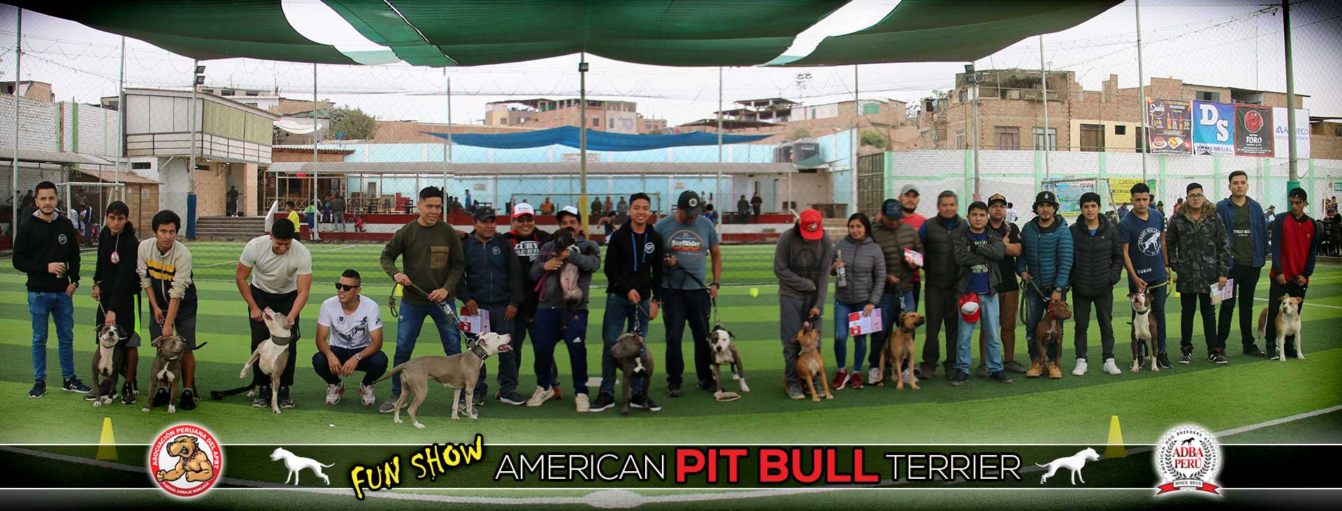 Fun Show del American Pit Bull Terrier - APBT Peru, apbtperu.com ...