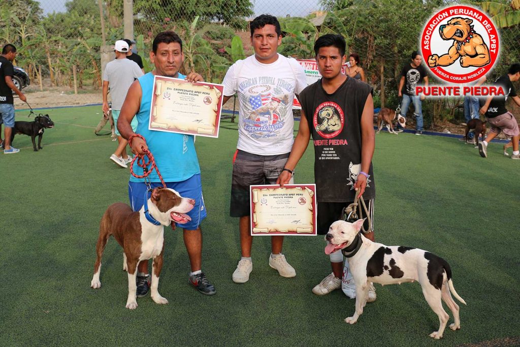 2DO CAMPEONATO PIT SPORT EN PUENTE PIEDRA - Resultados - APBT Peru ...